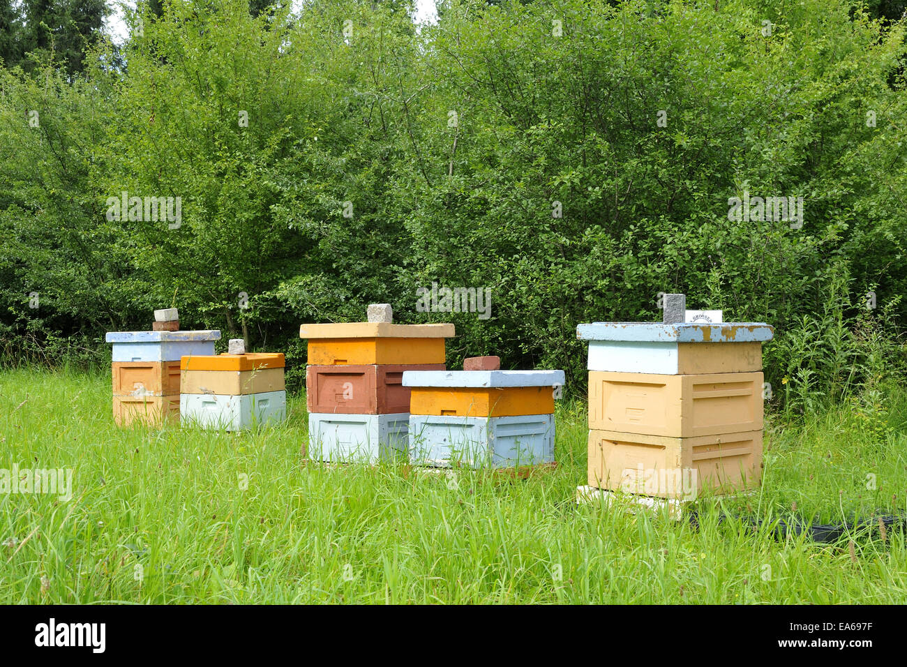 Beehive boxes hi-res stock photography and images - Alamy