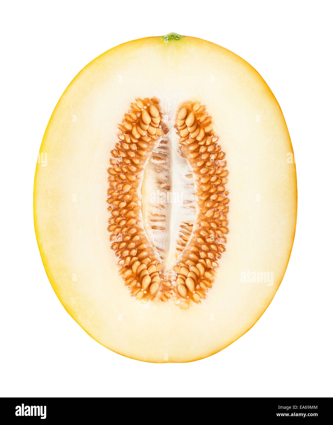 Melon yellow hi-res stock photography and images - Alamy