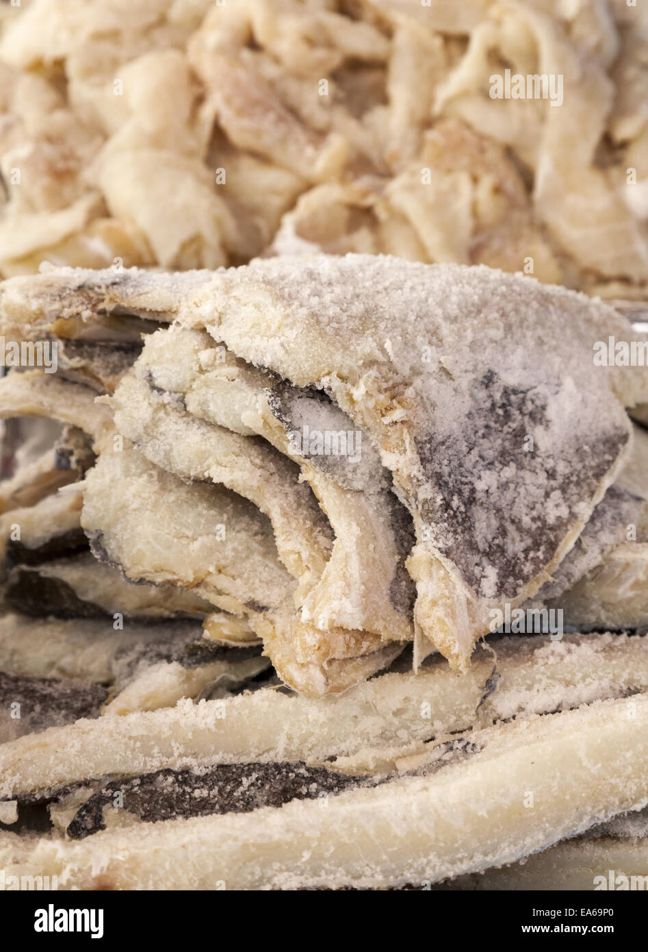 Stockfish hi-res stock photography and images - Alamy