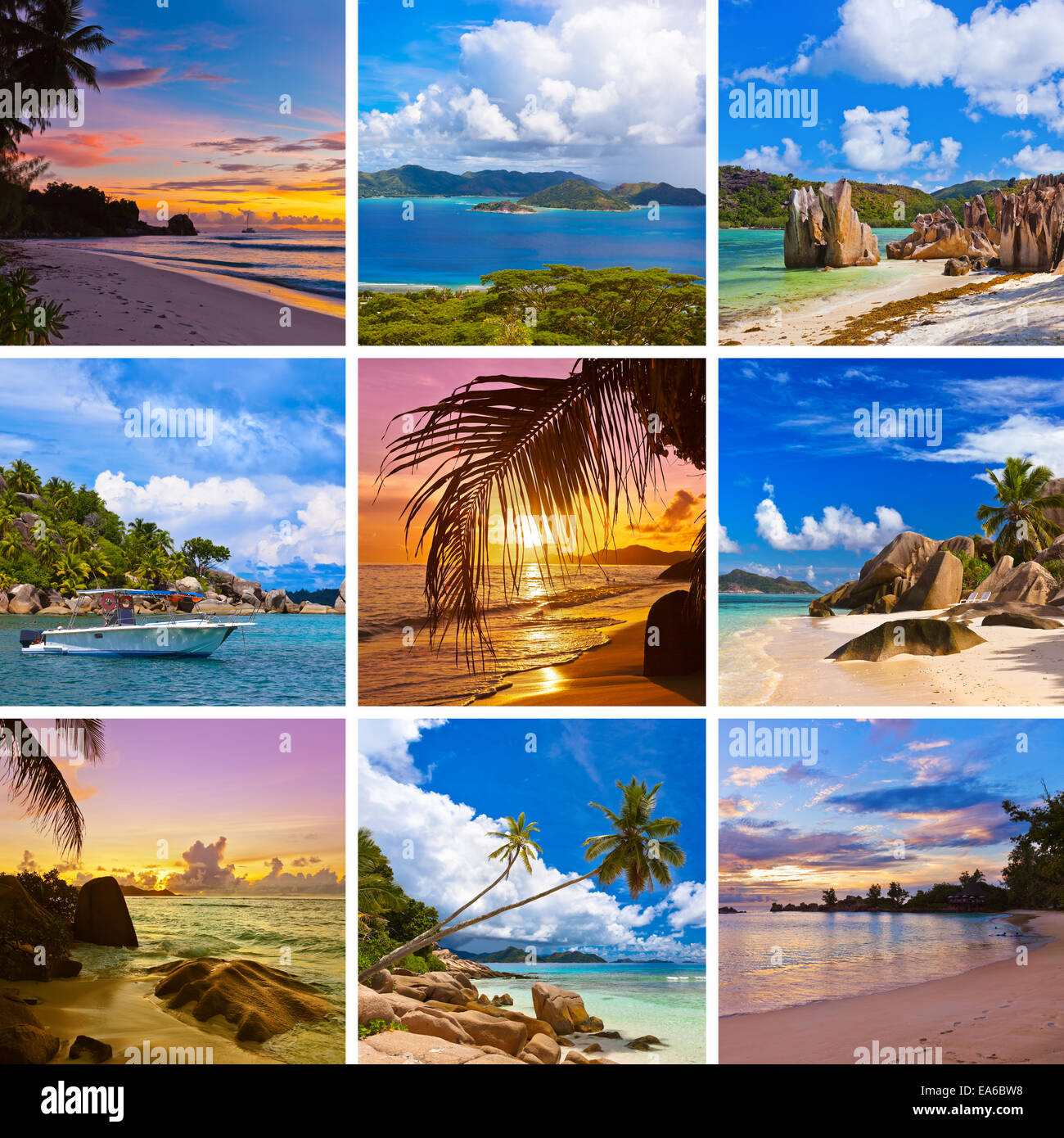 Tropical beach collage hi-res stock photography and images - Alamy