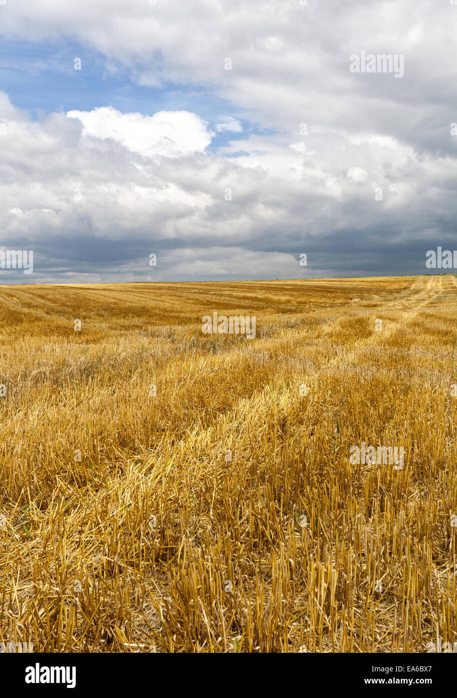 Stubblefield hi-res stock photography and images - Alamy