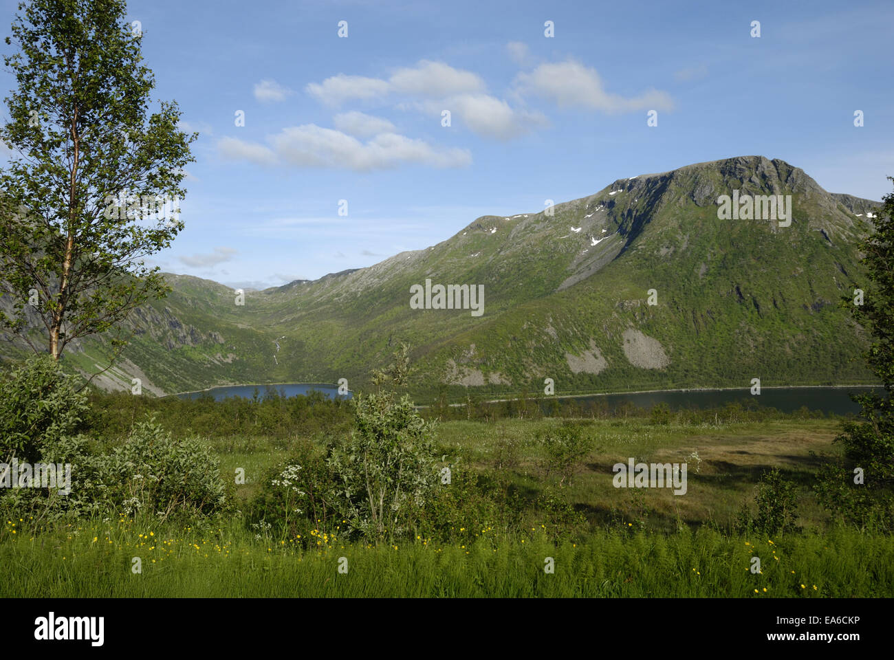 Landscape near Torsken on Senja Stock Photo - Alamy