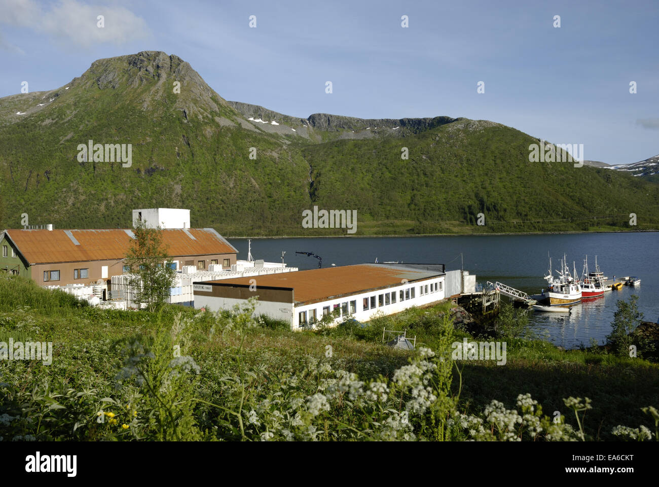 Torsken on Senja Stock Photo - Alamy