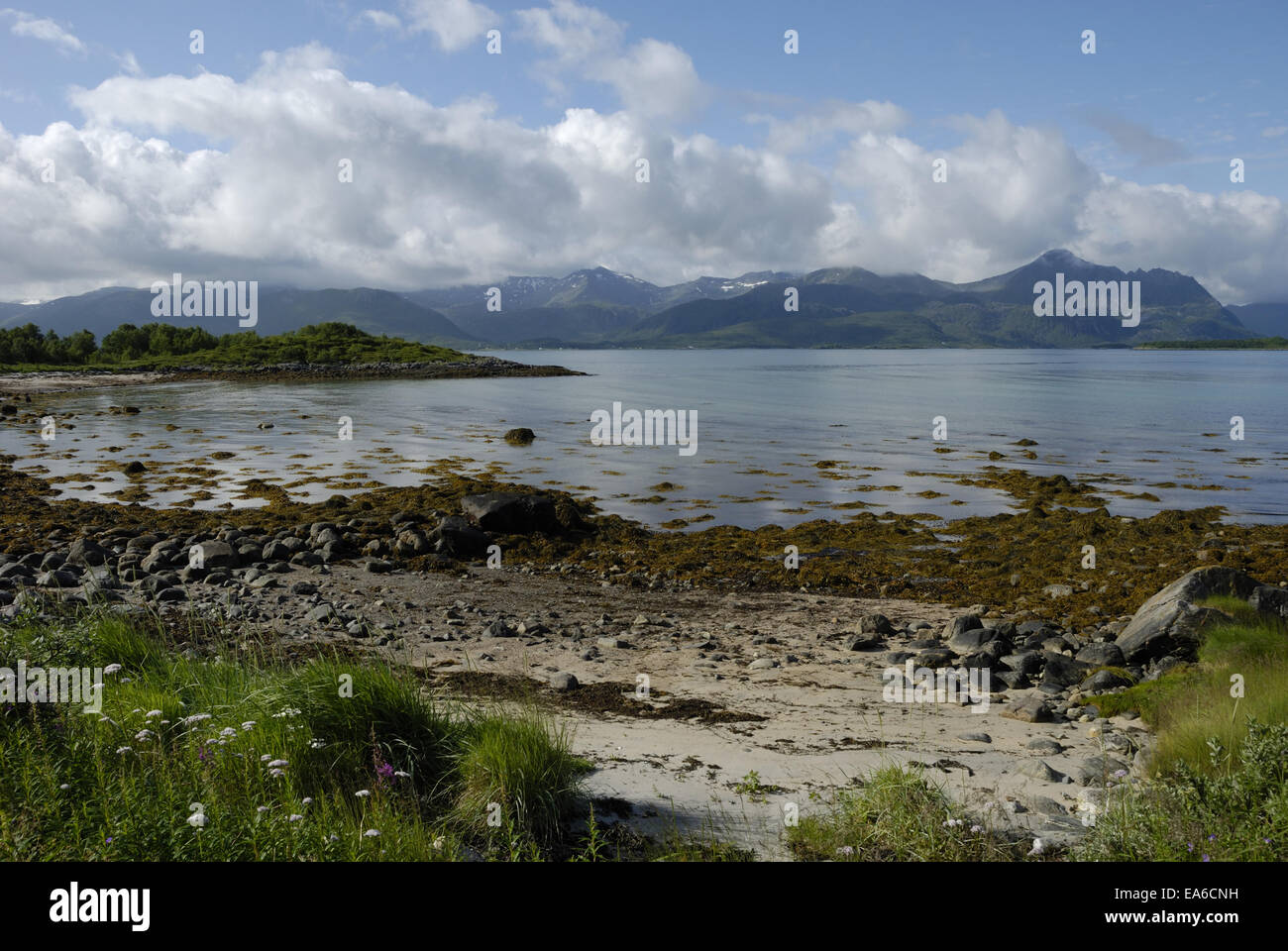Beach near Skaland on Senja Stock Photo - Alamy