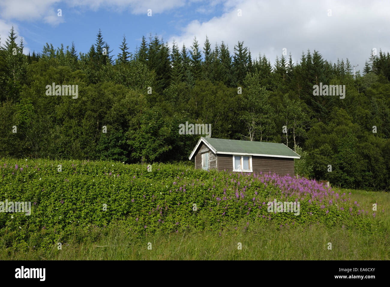 Cabin near Skaland on Senja Stock Photo - Alamy