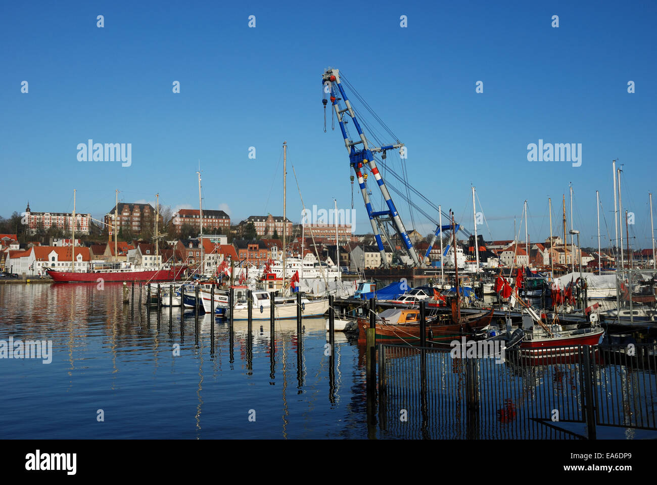 Crane water floating hi-res stock photography and images - Alamy