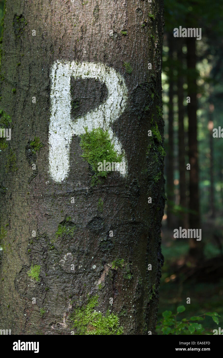 Rennsteig wanderweg hi-res stock photography and images - Alamy