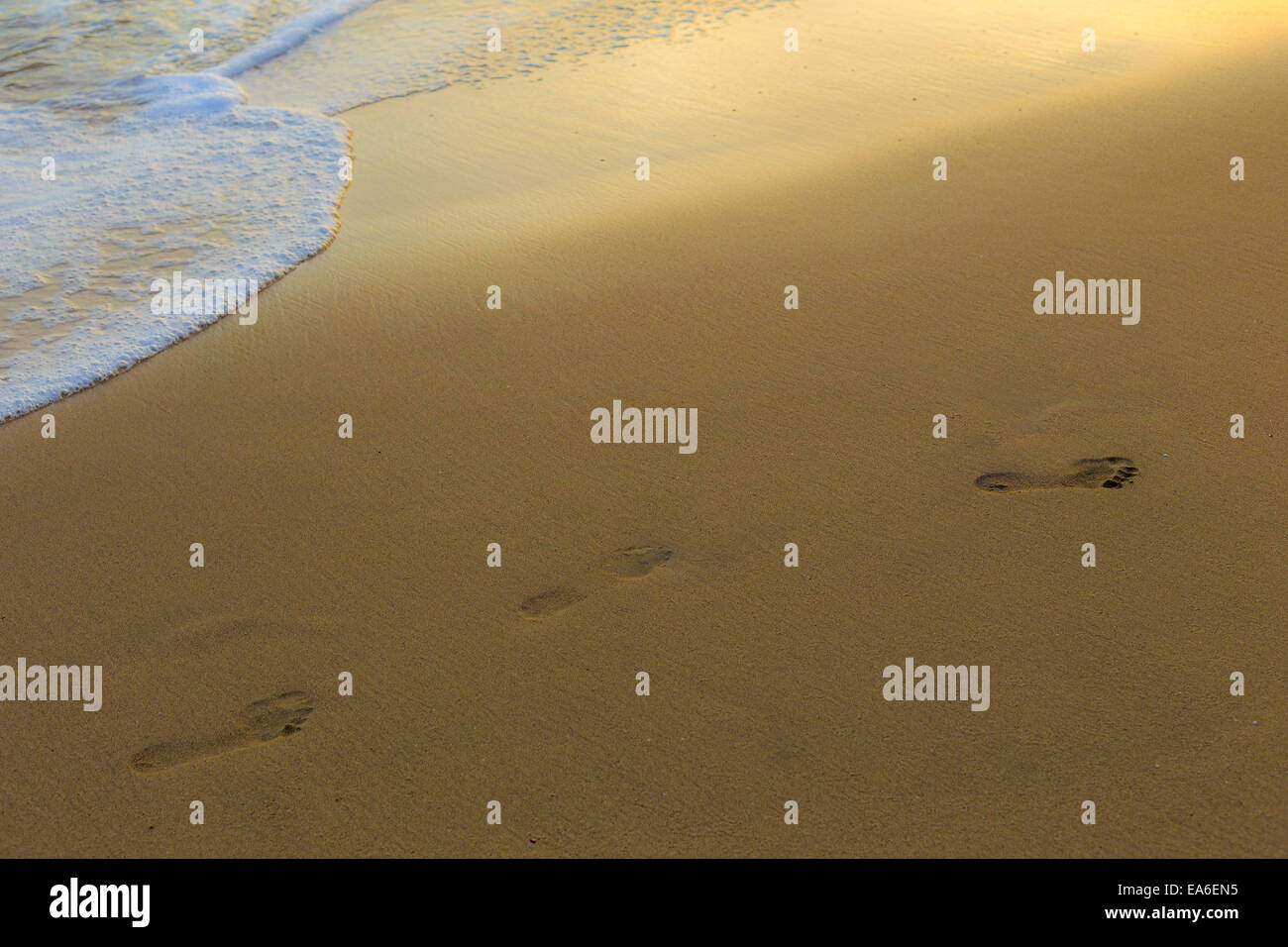 Footprints in sand on beach Stock Photo - Alamy