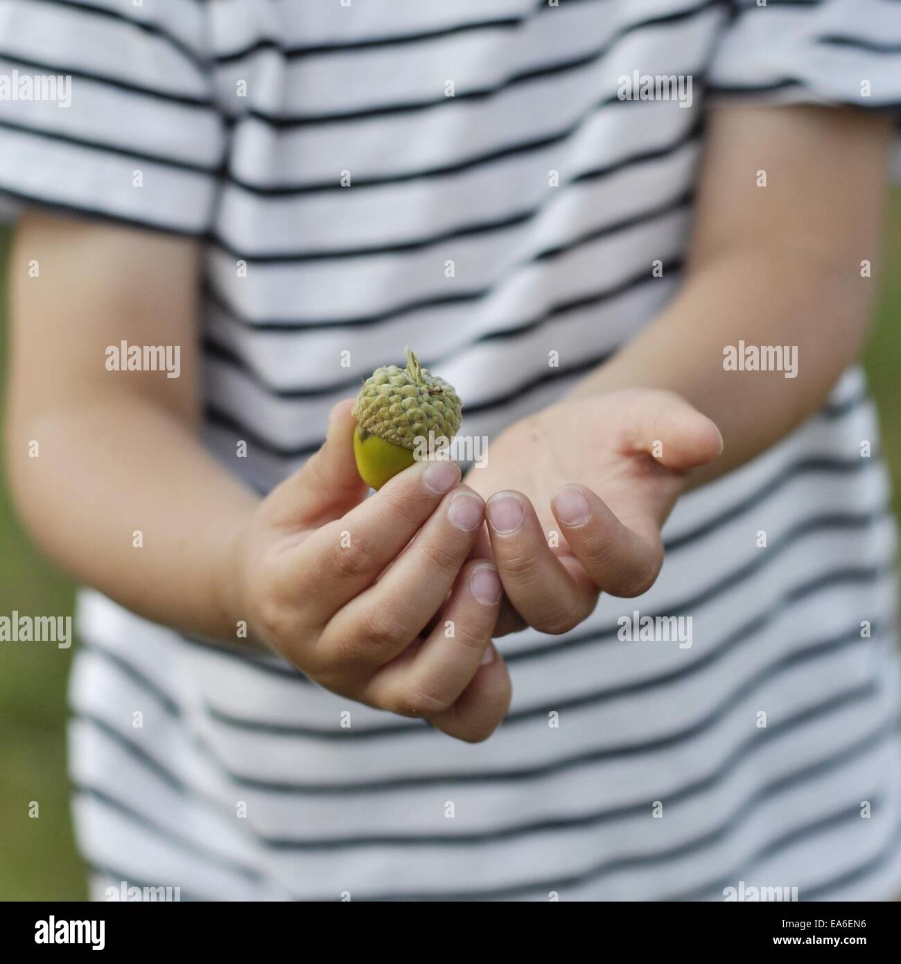 Boy holding acorn hi-res stock photography and images - Alamy