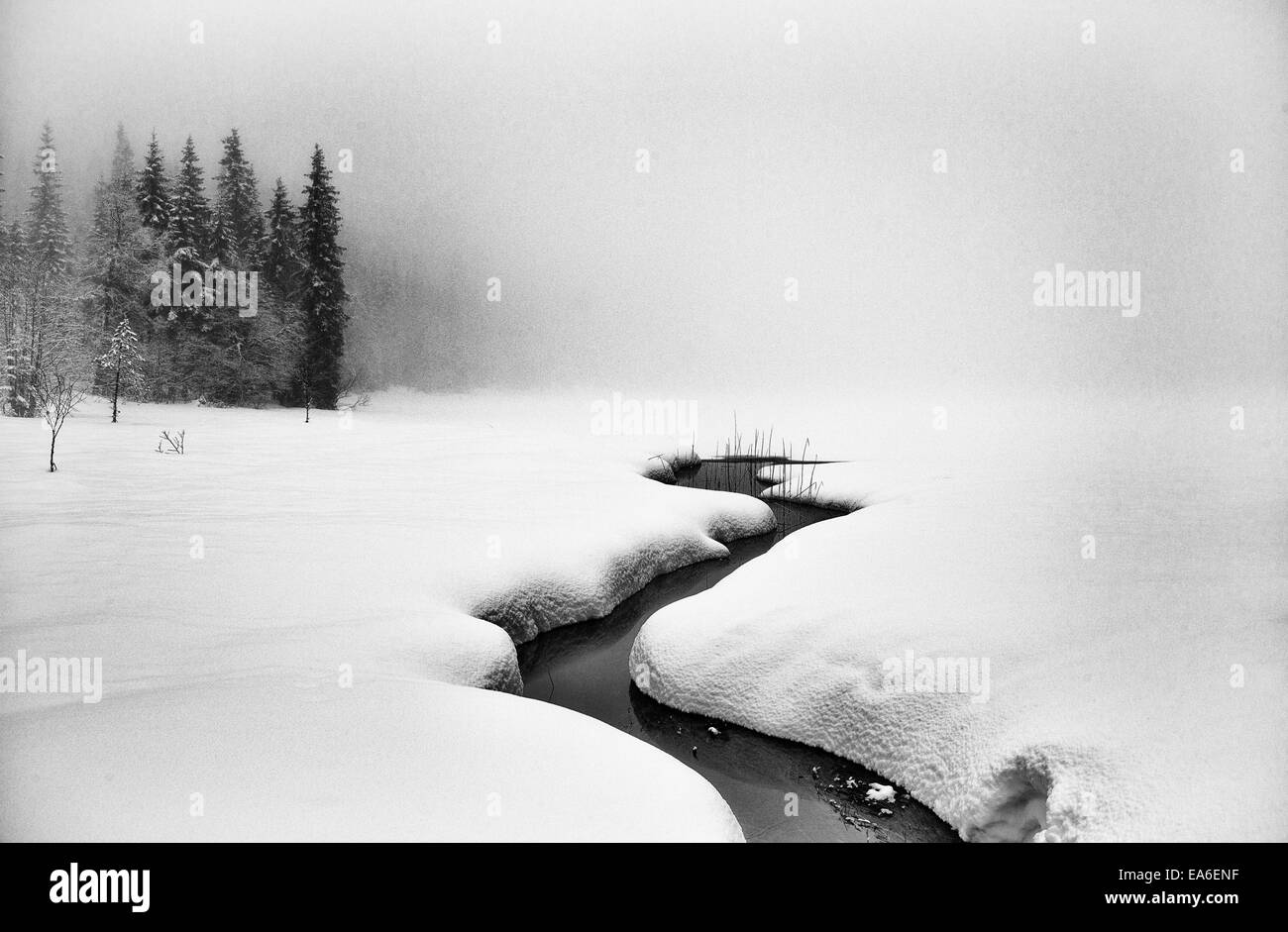 Stream through rural winter landscape, Norway Stock Photo - Alamy