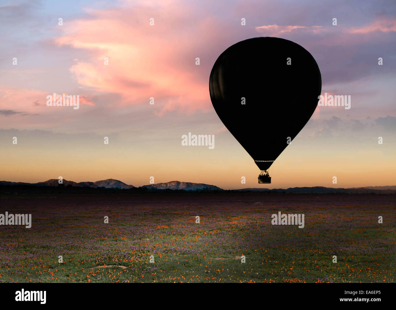 Hot air balloon on early morning Stock Photo - Alamy