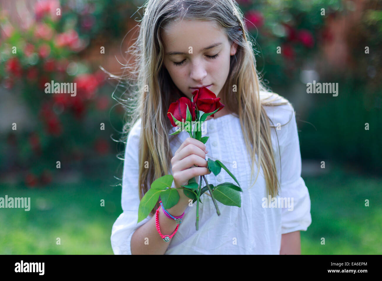 Girl Smelling Roses High Resolution Stock Photography and Images - Alamy
