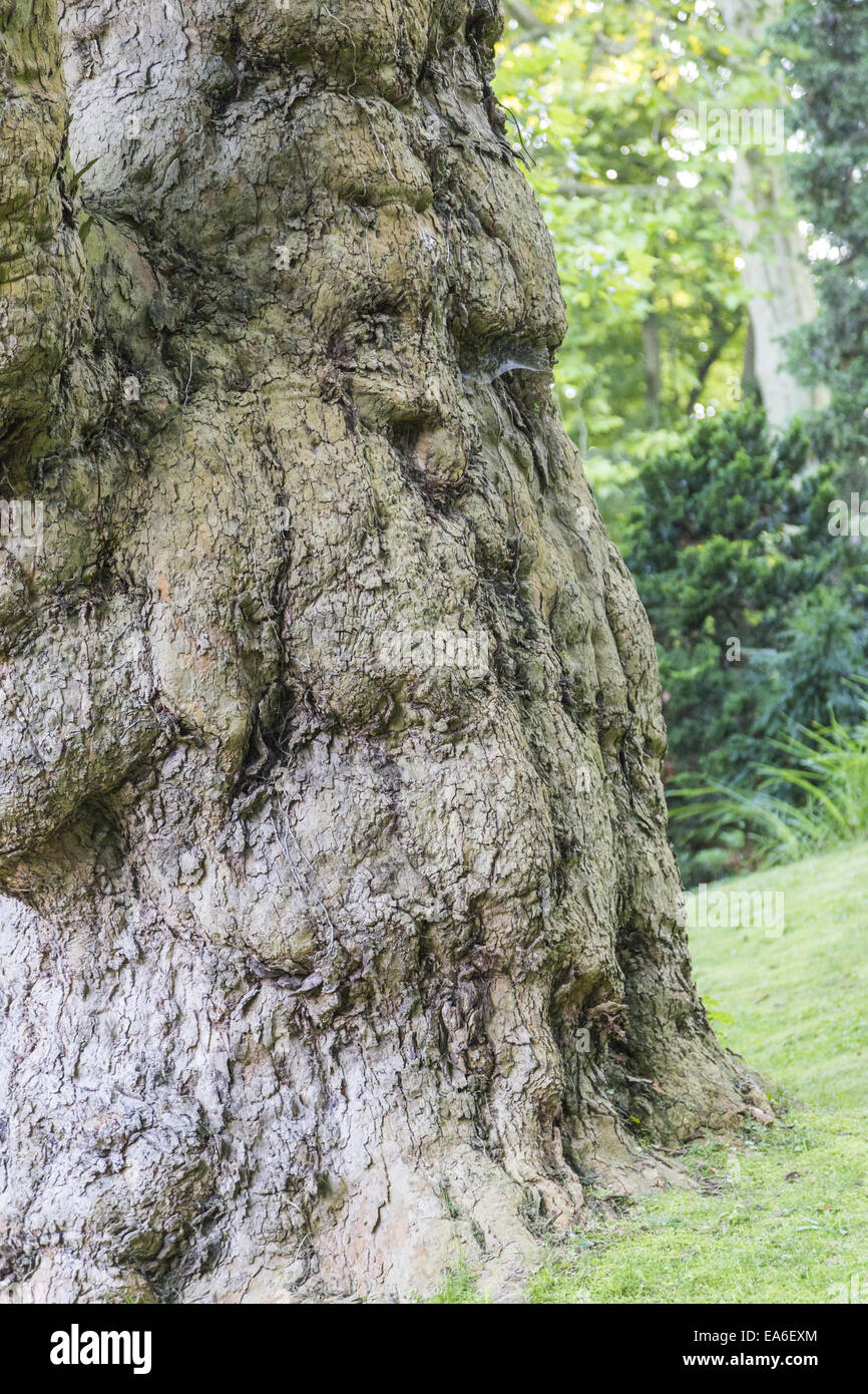 Remarkable structure hi-res stock photography and images - Alamy