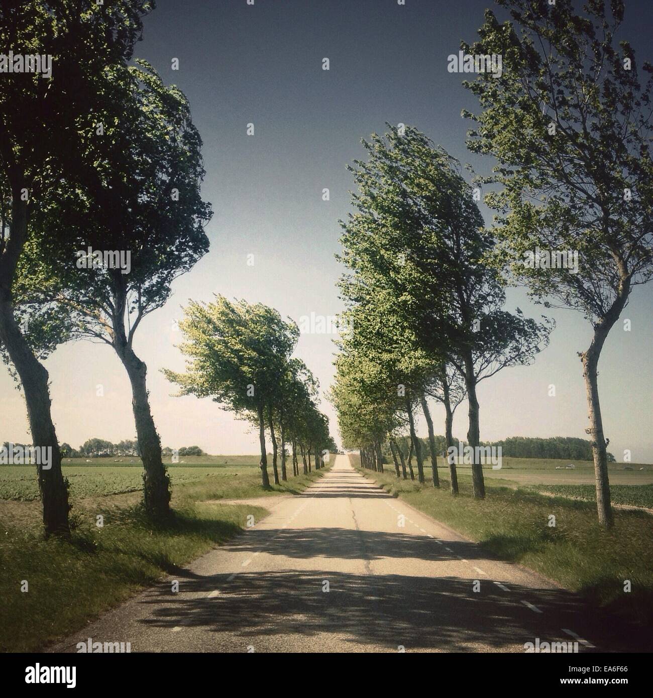 Netherlands country road hi-res stock photography and images - Alamy