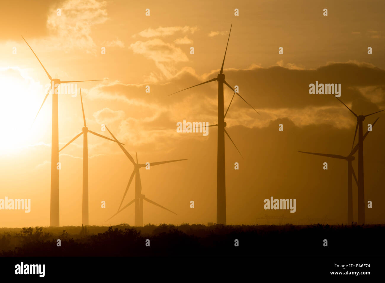 San Gorgonio Pass Wind Farm at sunset, California, United States Stock ...