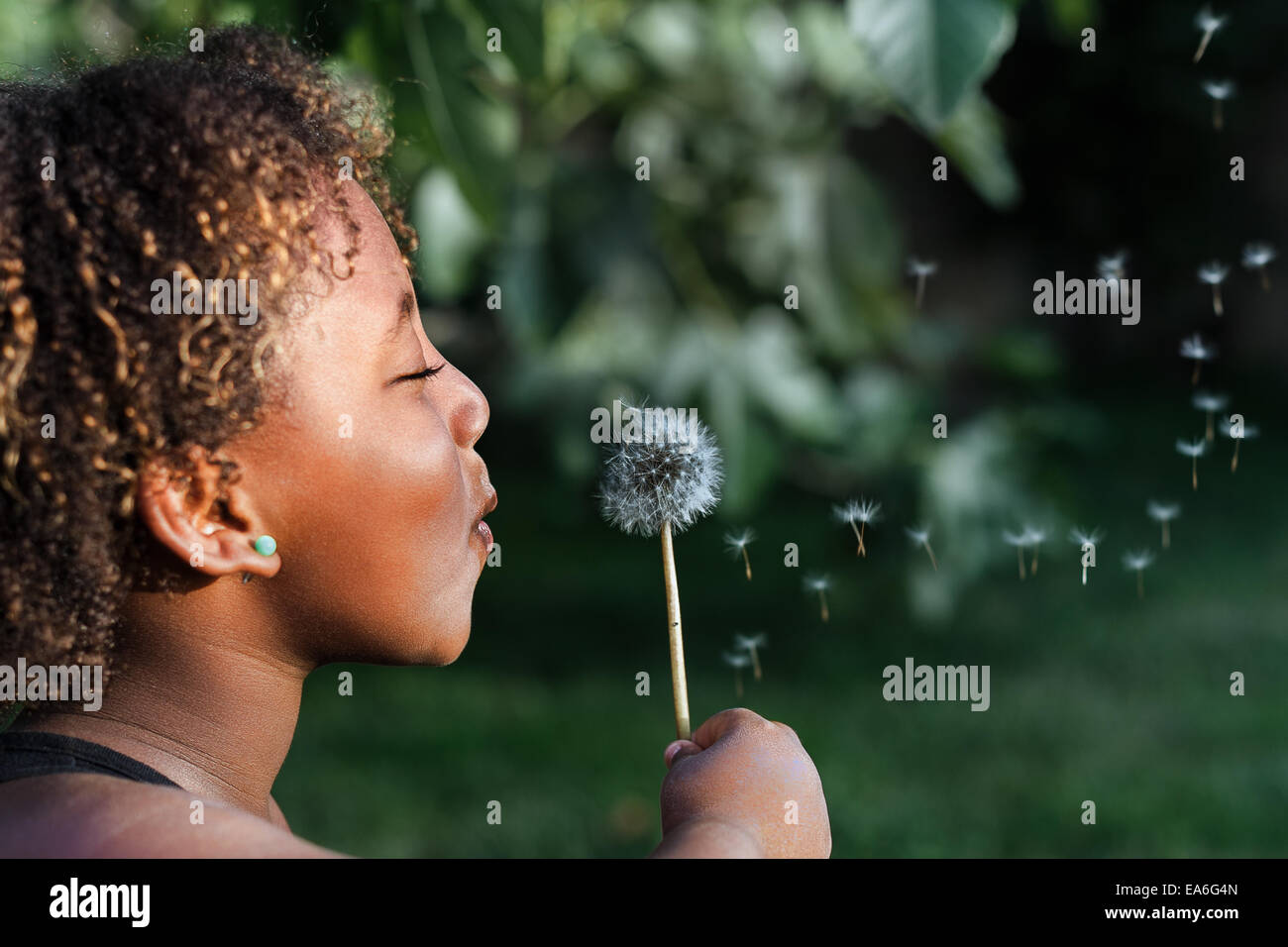 Girl blowing dandelion Stock Photo - Alamy