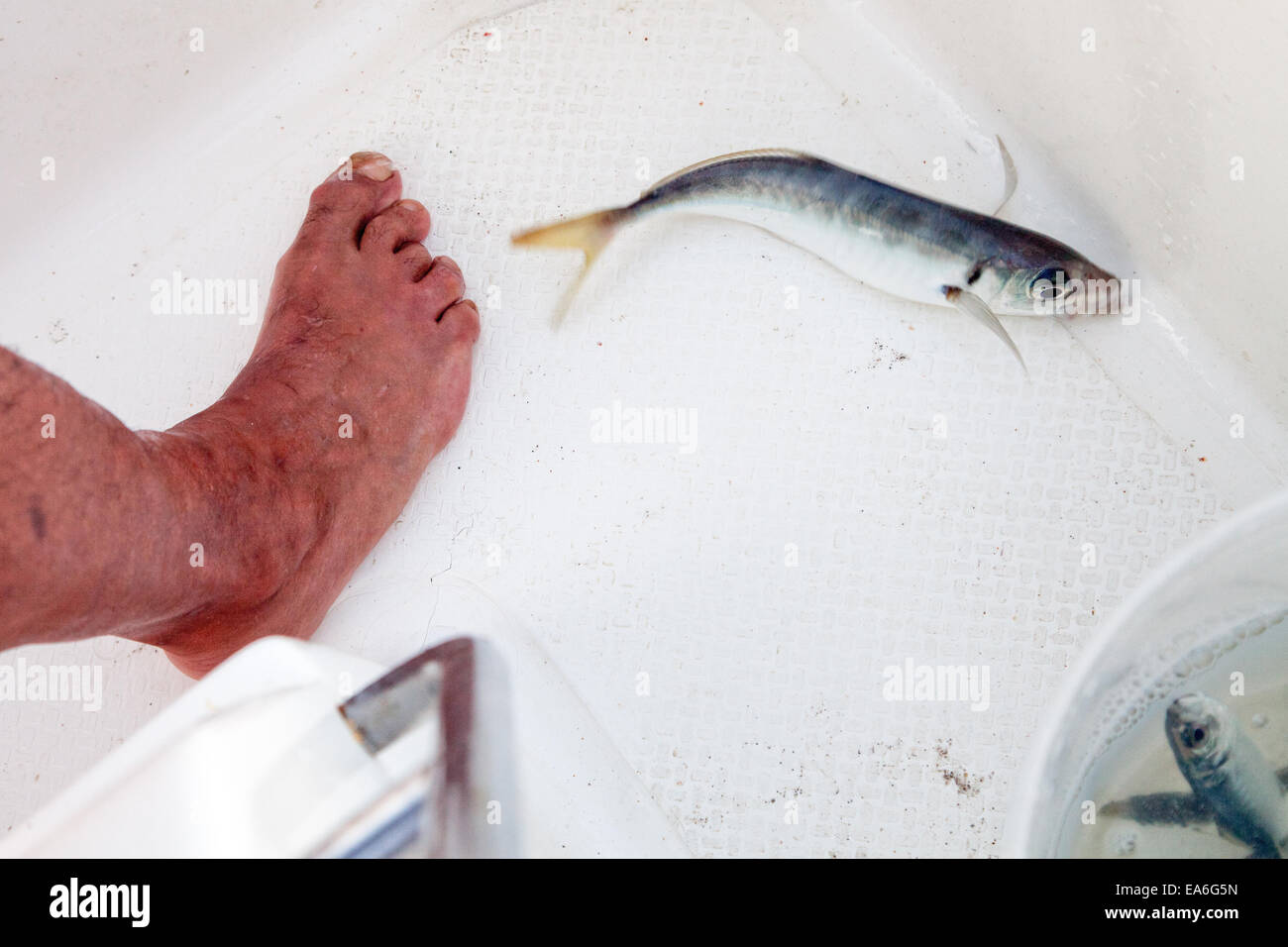 Mans Foot High Resolution Stock Photography and Images - Alamy