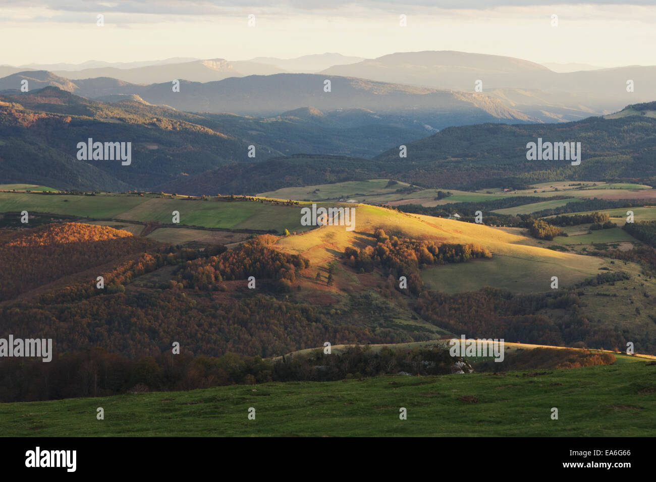 Irati Forest landscape, Navarre, Spain Stock Photo - Alamy