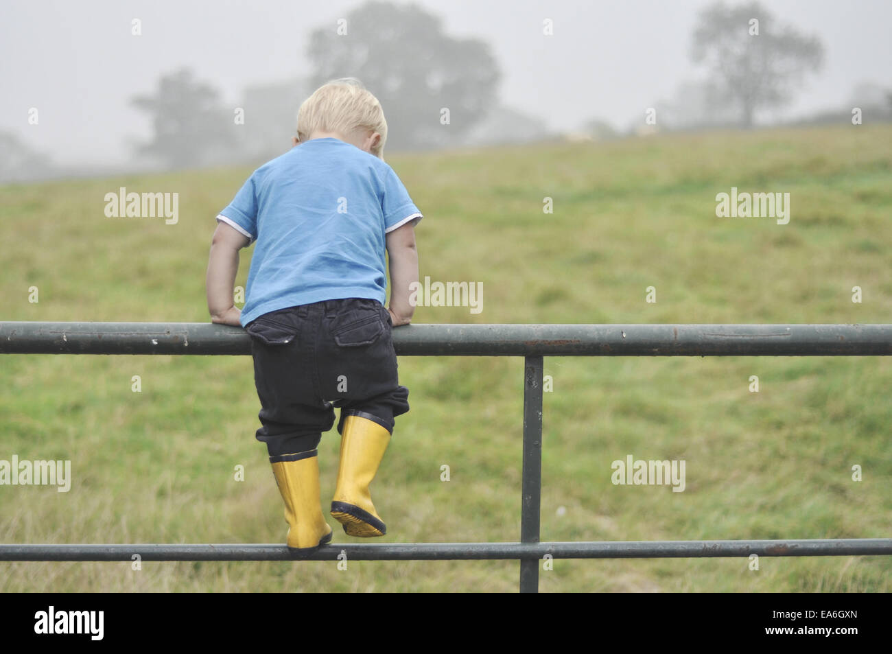 Boy climbing metal fence Stock Photo - Alamy