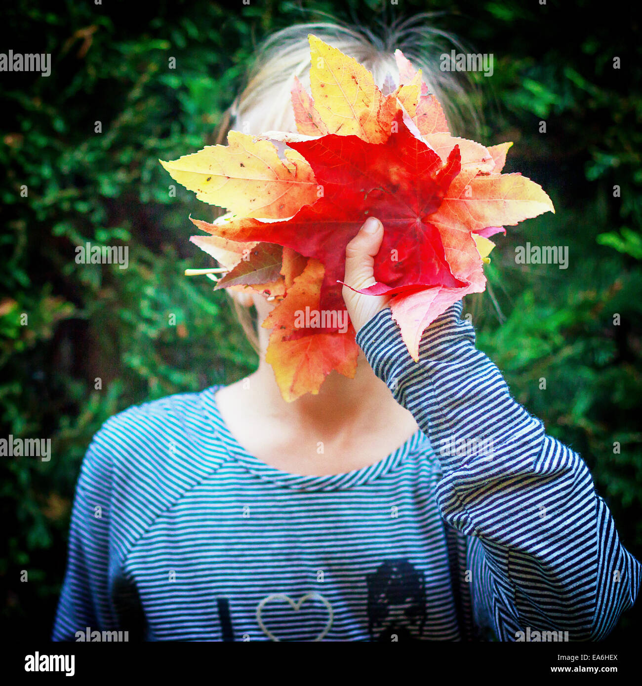 Hidden foliage obscured hi-res stock photography and images - Alamy