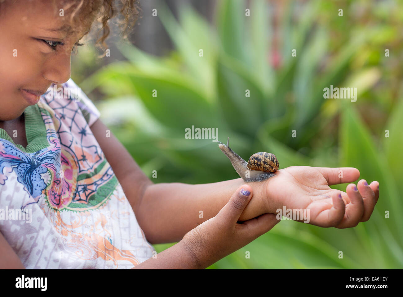 Girl with snail on arm Stock Photo - Alamy