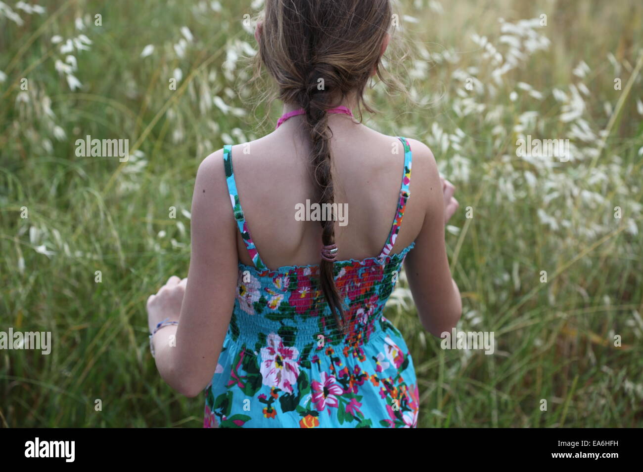 Rear view of a girl sitting in a meadow, Marotta, Marche, Italy Stock ...