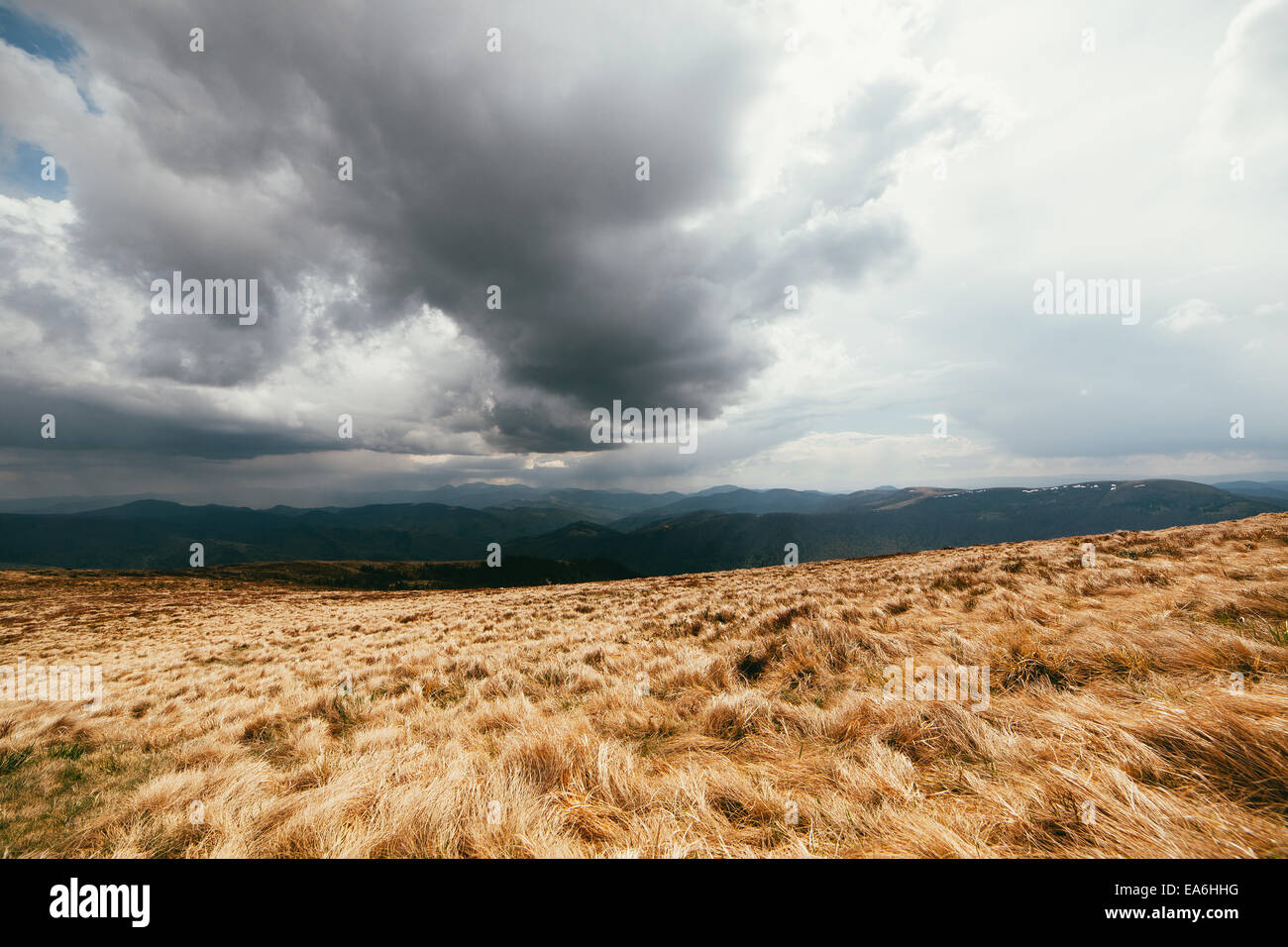 Scenic landscape with field Stock Photo - Alamy