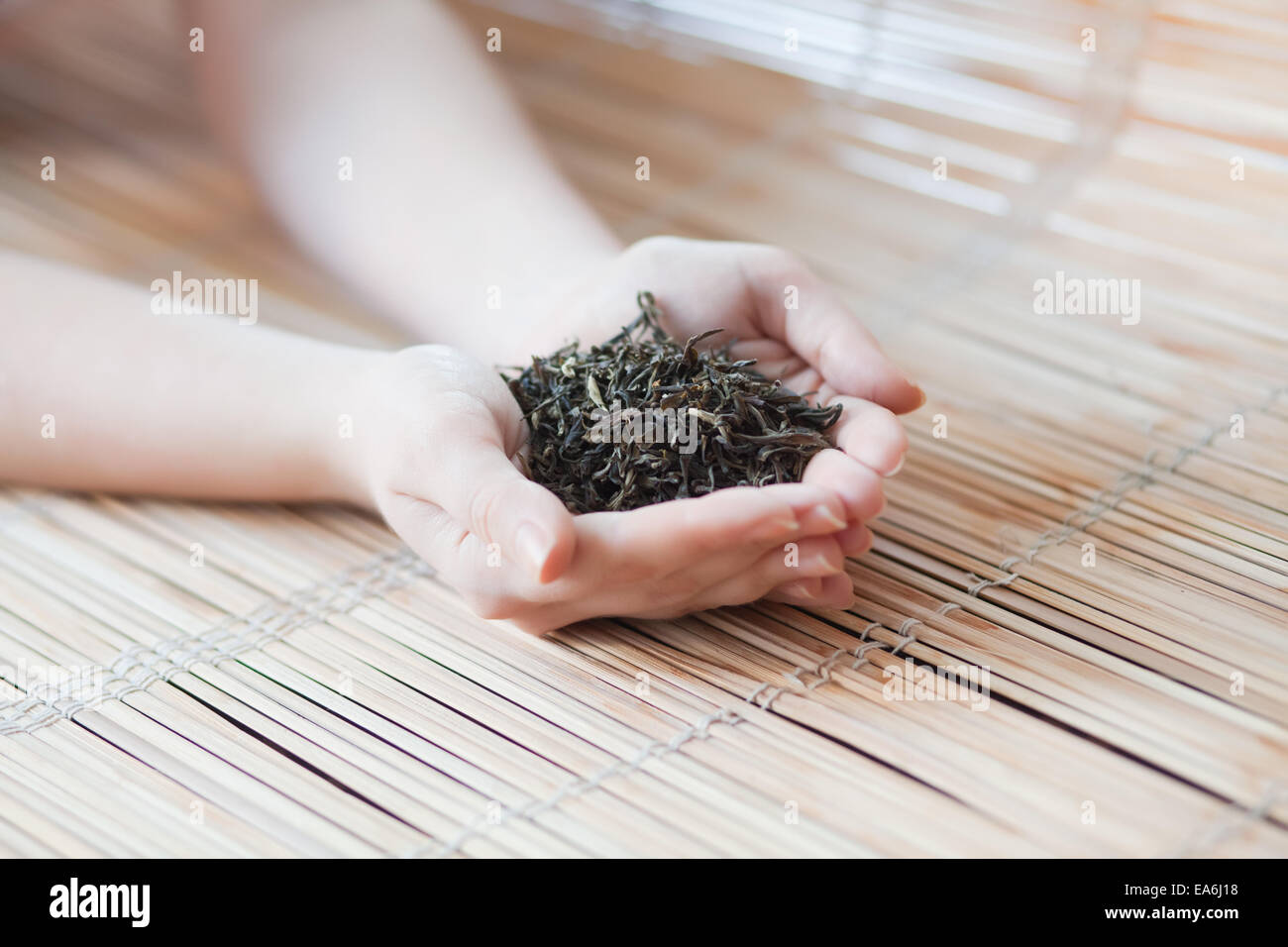 hands holding a tea Stock Photo - Alamy