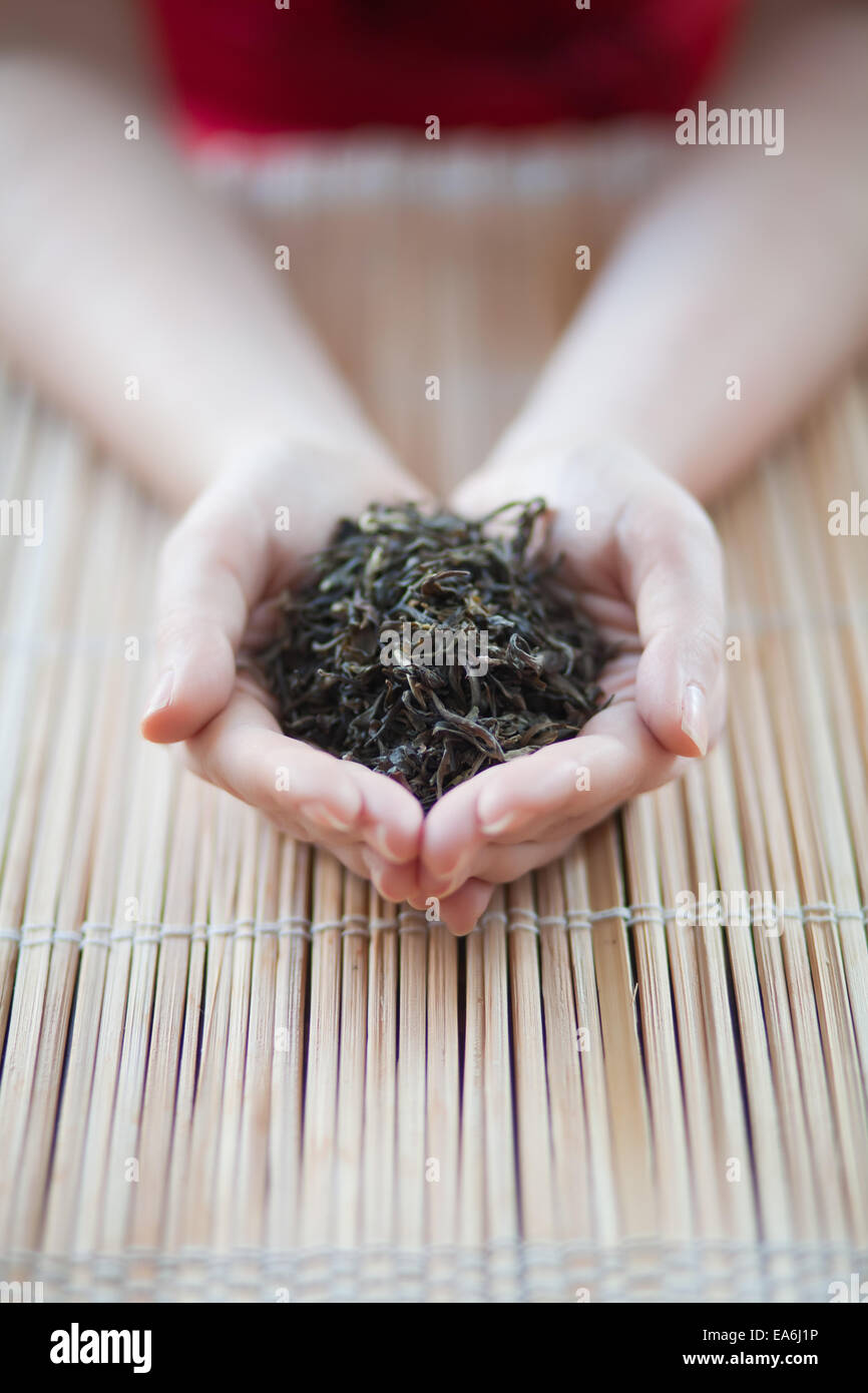 Herbal tea concept hand holding hi-res stock photography and images - Alamy