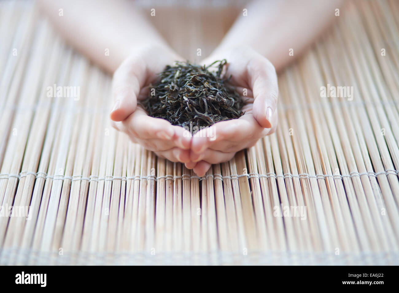 hands holding a tea Stock Photo - Alamy