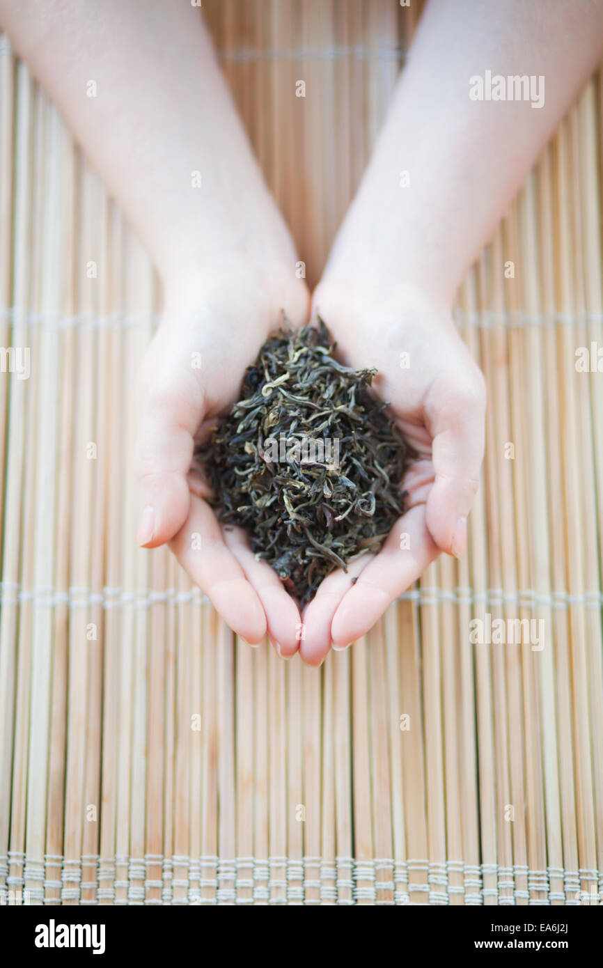 hands holding a tea Stock Photo - Alamy