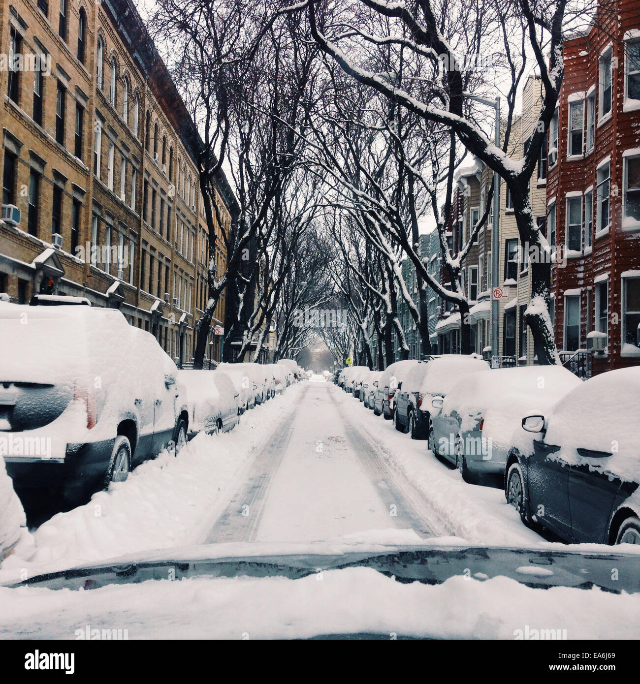 Brooklyn, Snowy neighborhood Stock Photo - Alamy