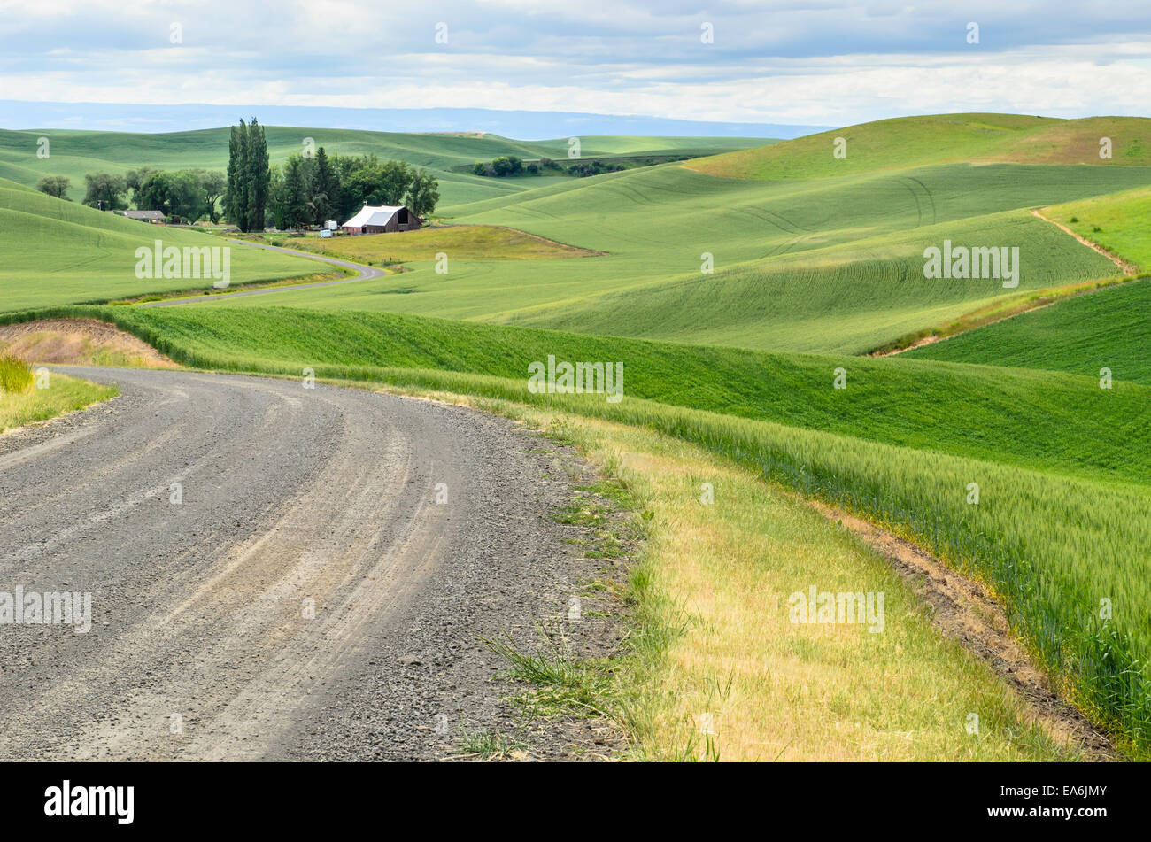 Rural landscape, Palouse, Washington, United States Stock Photo - Alamy