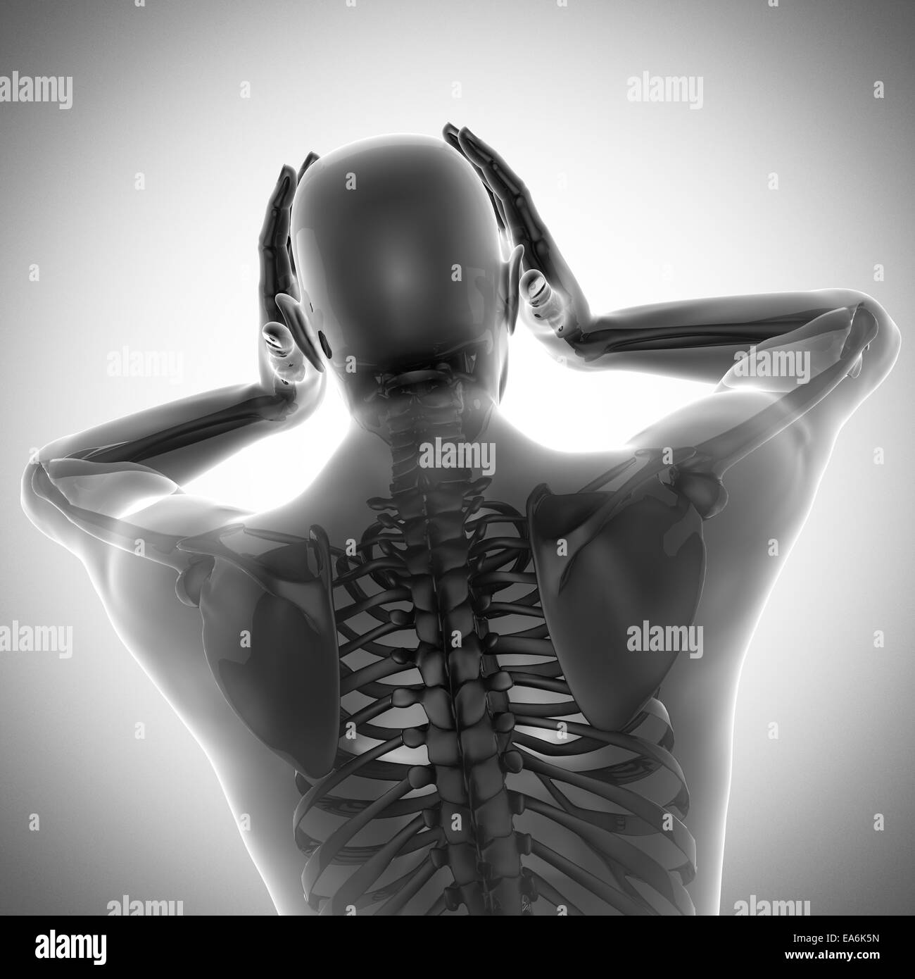 Human bones radiography scan hi-res stock photography and images - Alamy