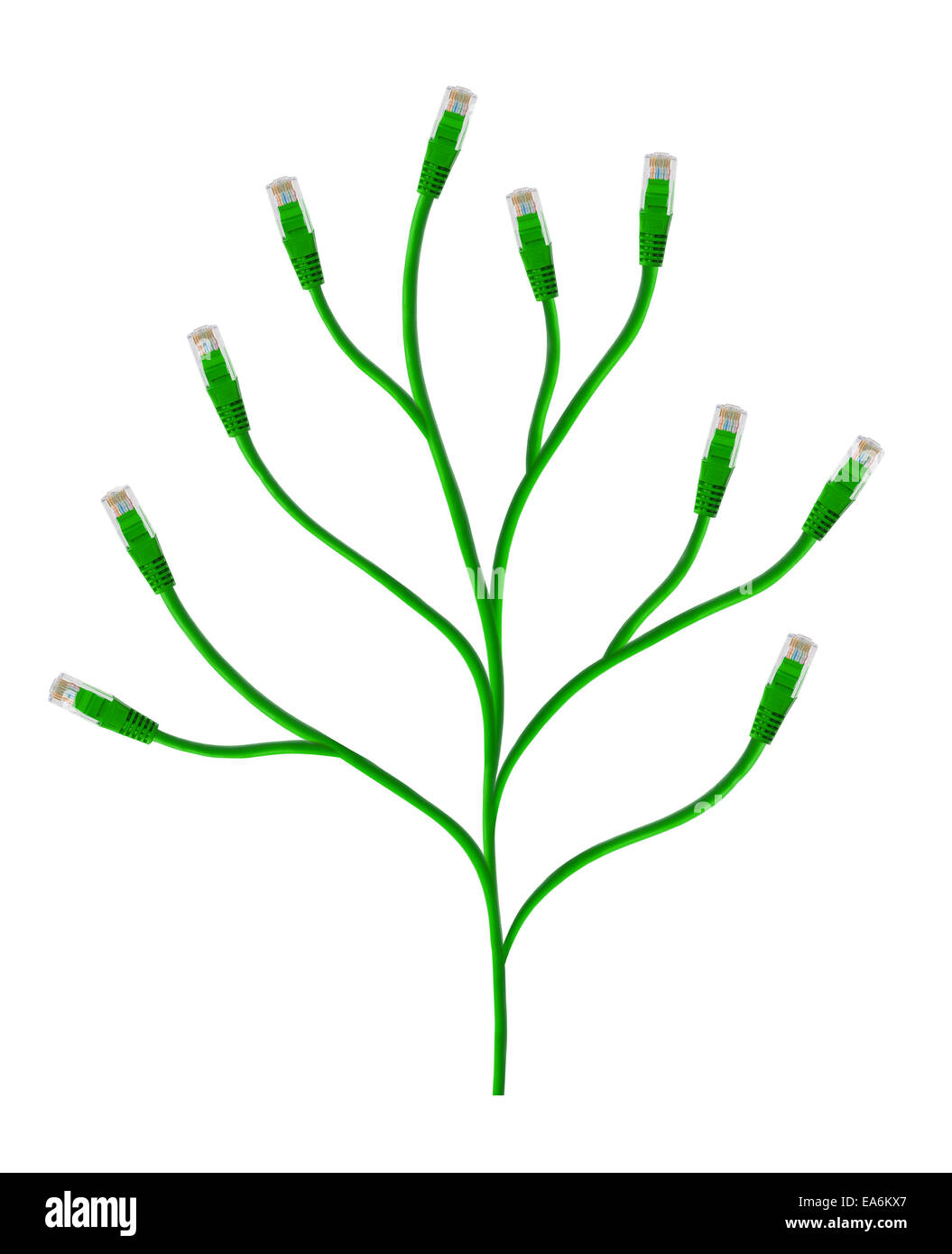 Made of plant hi-res stock photography and images - Alamy