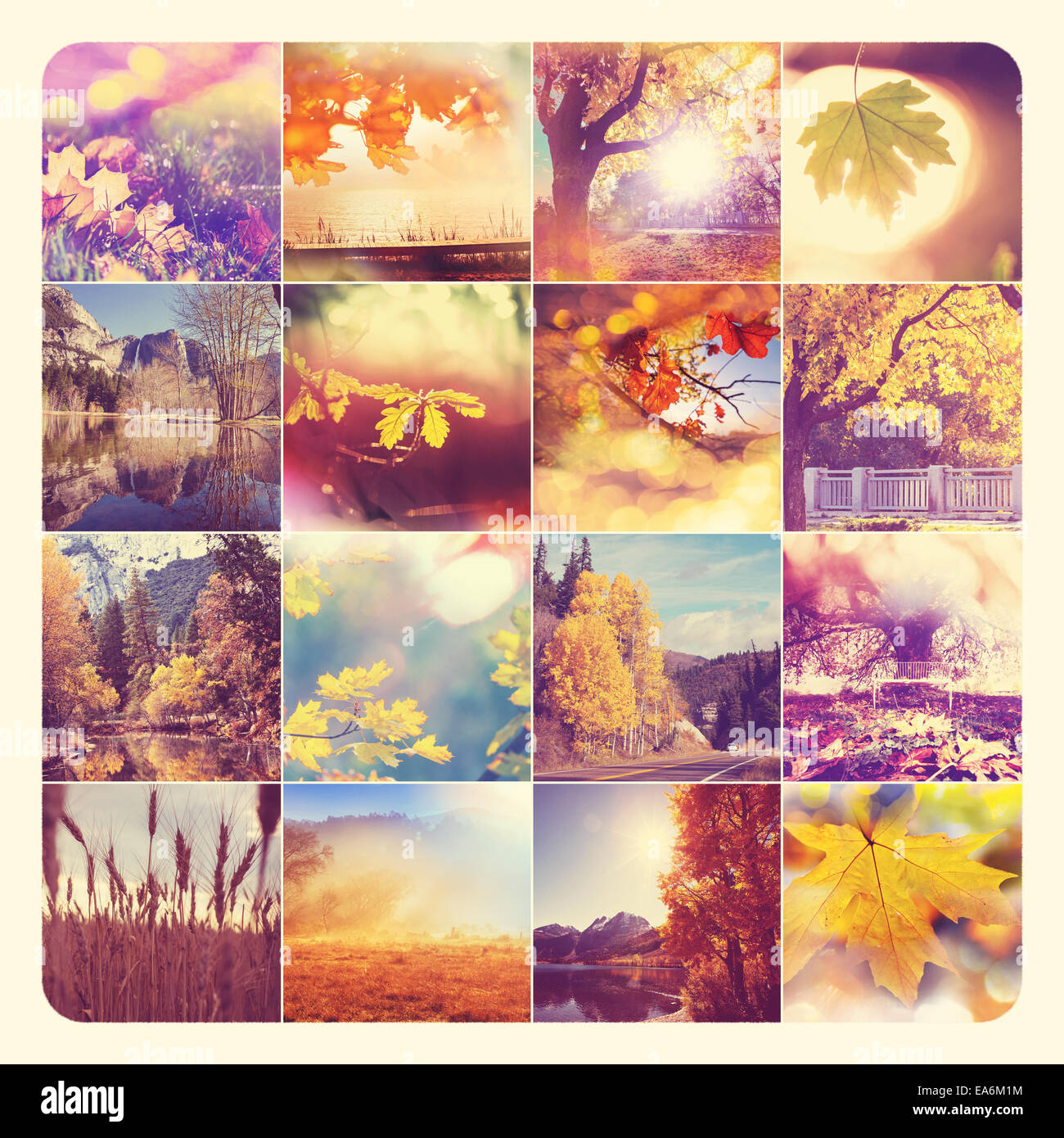 Rural scene autumn Cut Out Stock Images & Pictures - Alamy