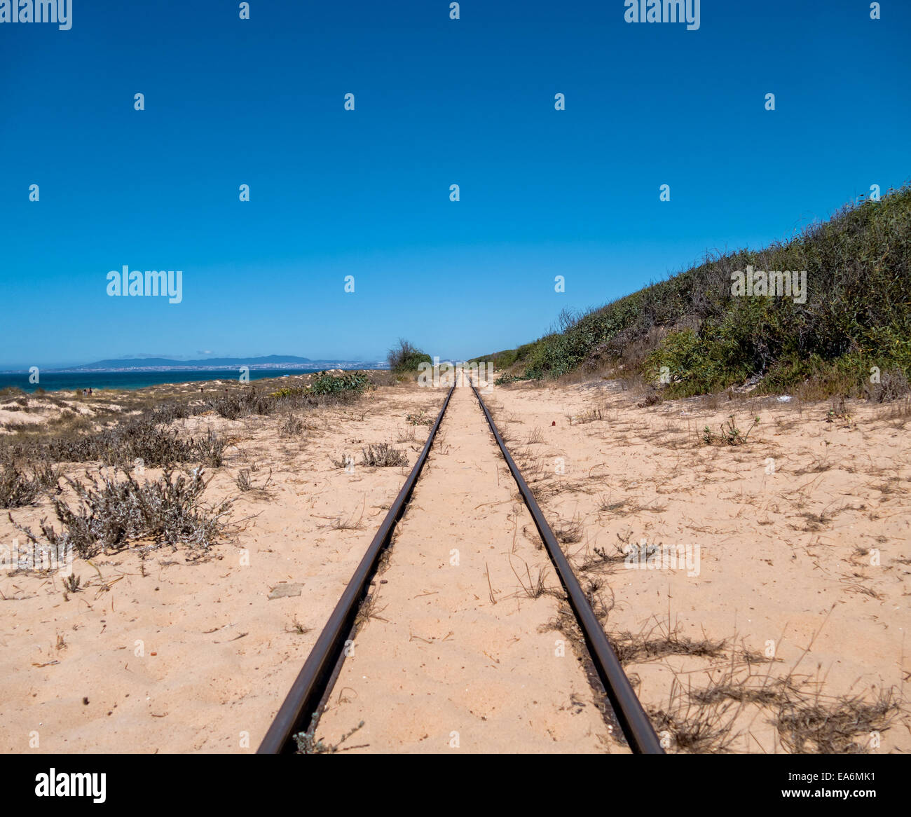 Steel Railroad Tracks on Sand Beach, into horizon Stock Photo - Alamy