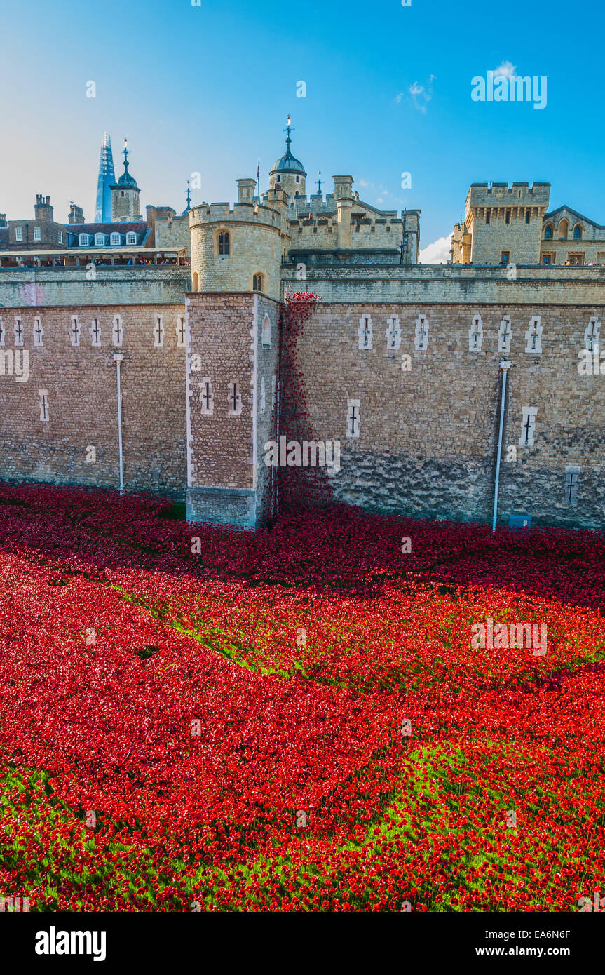 Blood swept lands and seas of red is an art installation by Paul ...