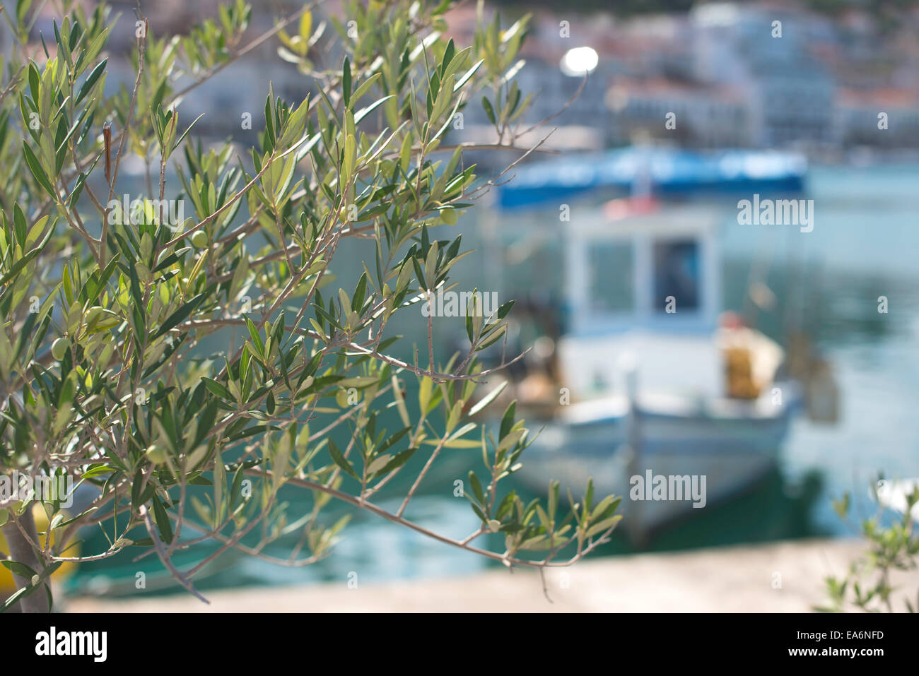 Olive branches and fishing boats Stock Photo - Alamy