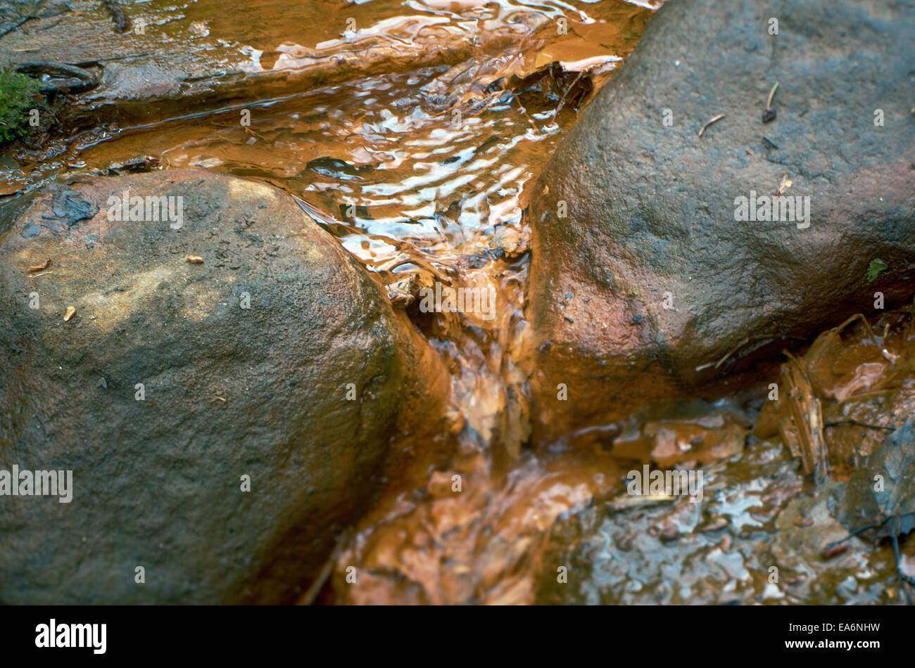 source of mineral water Stock Photo - Alamy