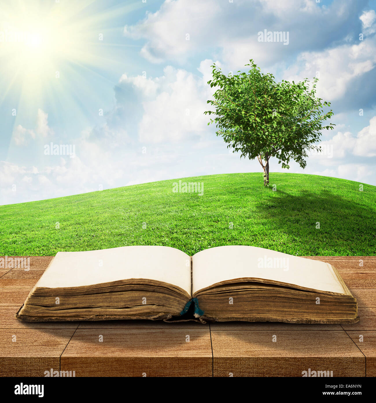 Open book cover back hi-res stock photography and images - Alamy