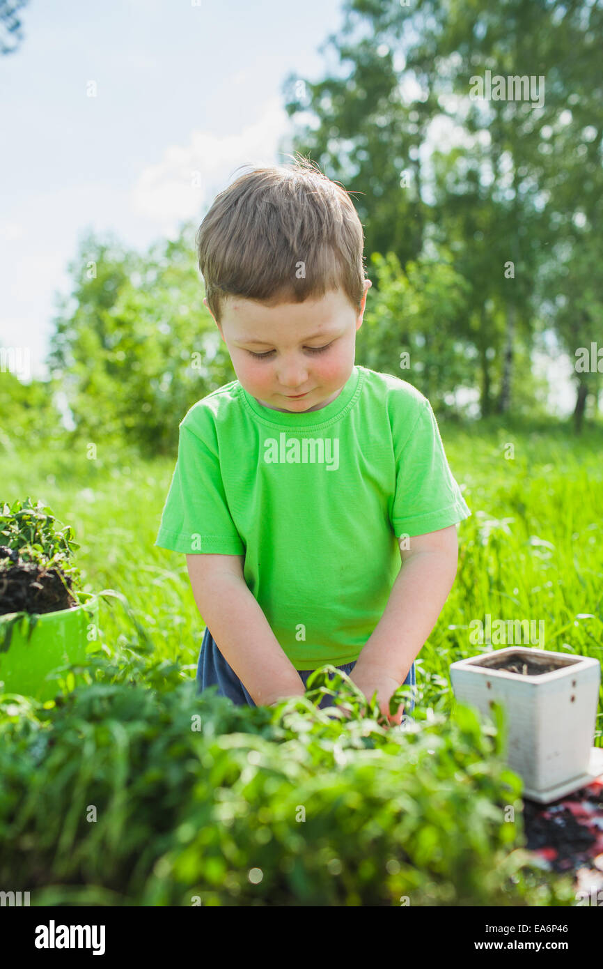 boy romping in the grass Stock Photo - Alamy