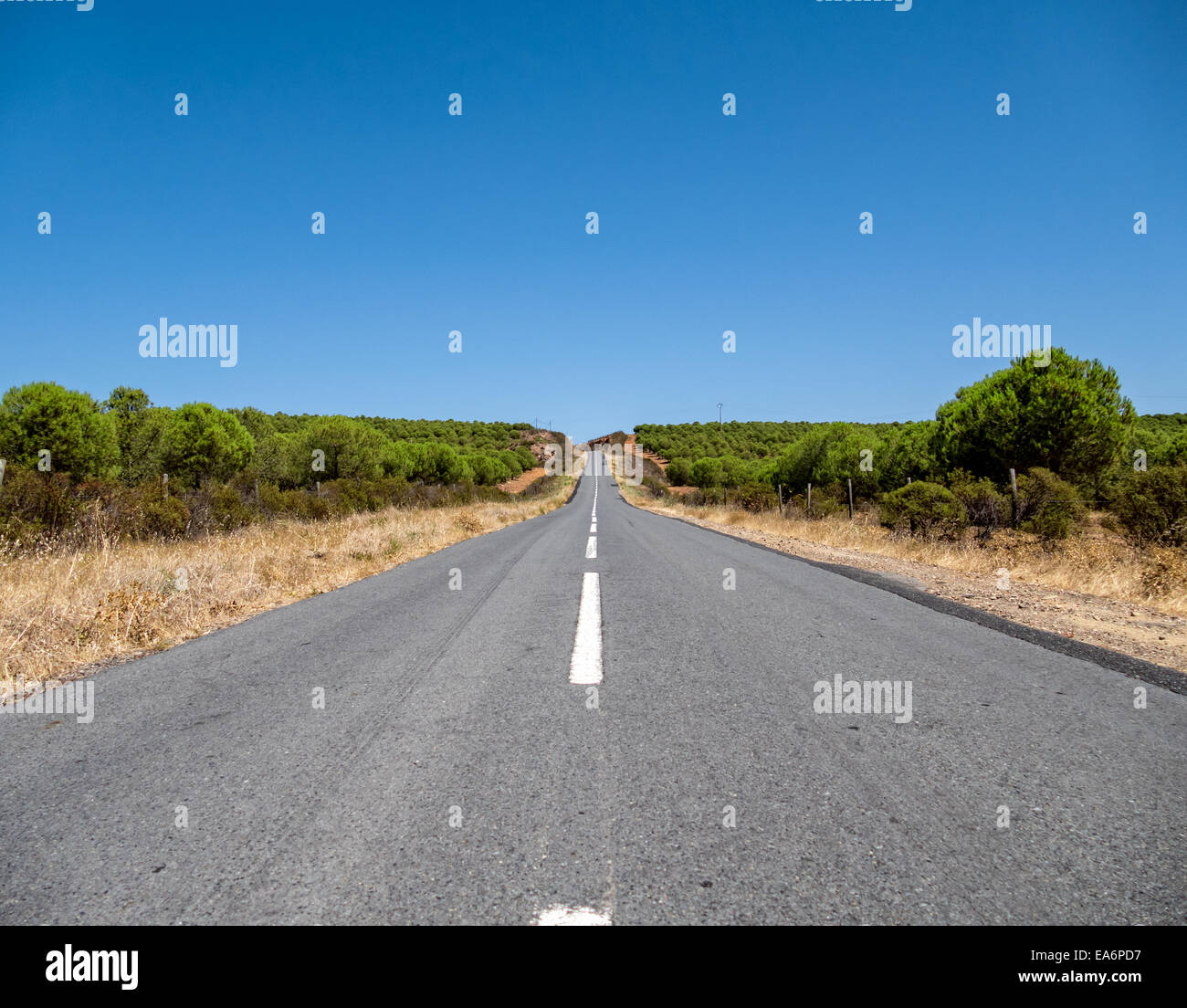 Asphalt Road on Hill, into horizon Stock Photo - Alamy