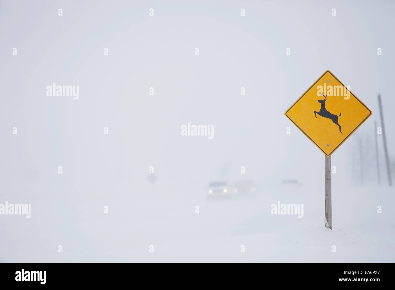 Deer crossing warning sign hi-res stock photography and images - Alamy