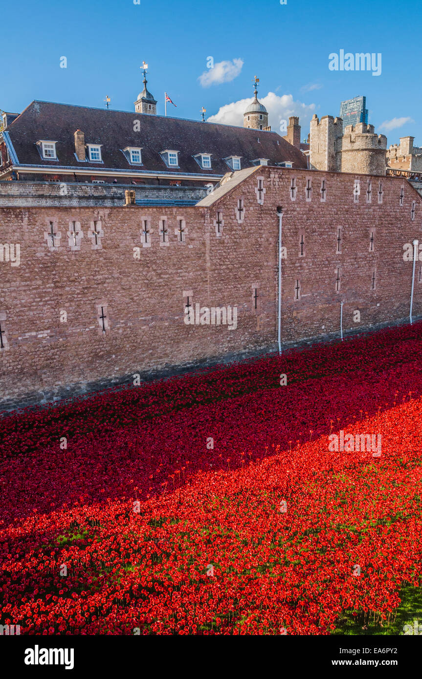 Blood swept lands and seas of red is an art installation by Paul ...