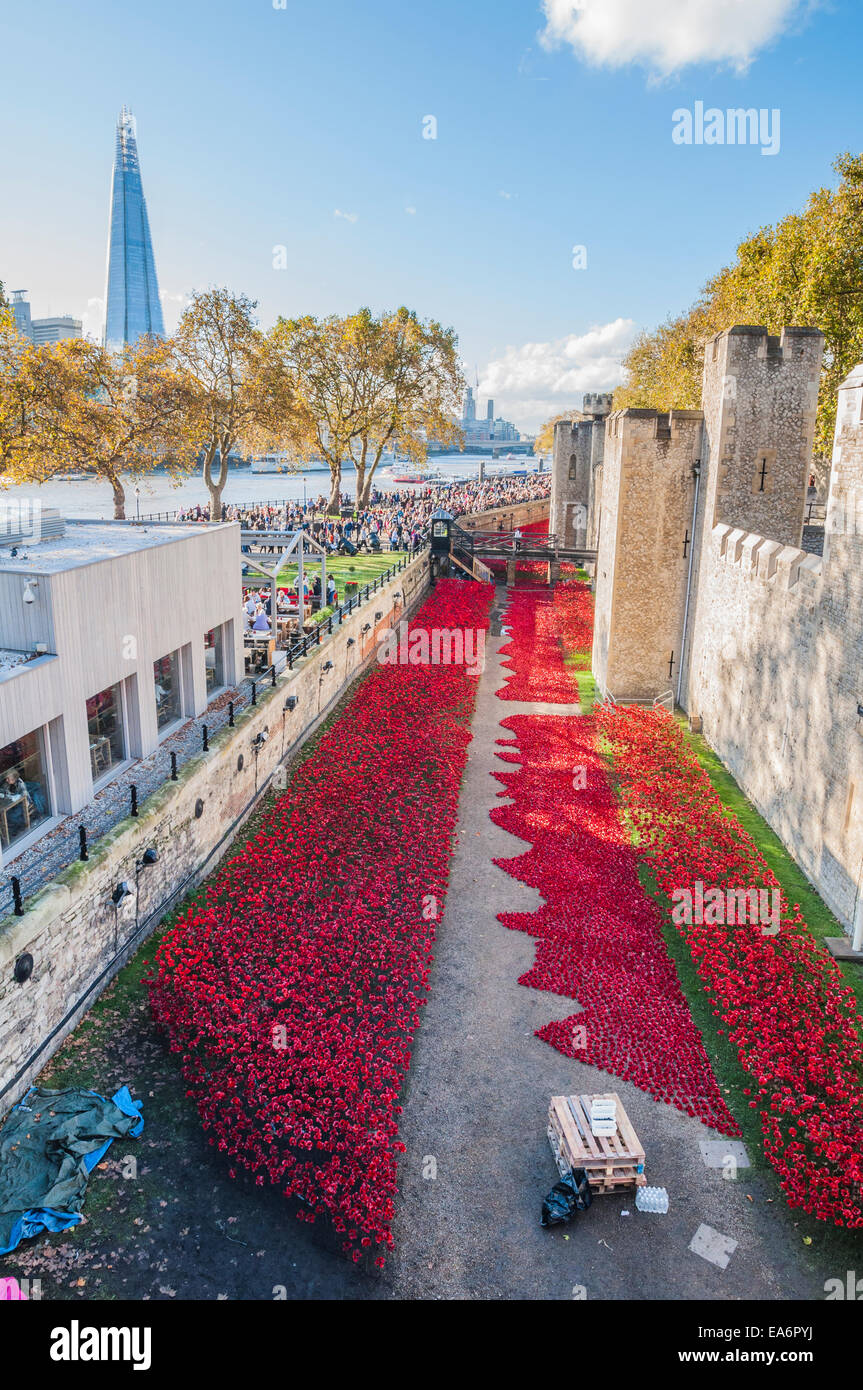 Blood swept lands and seas of red is an art installation by Paul ...