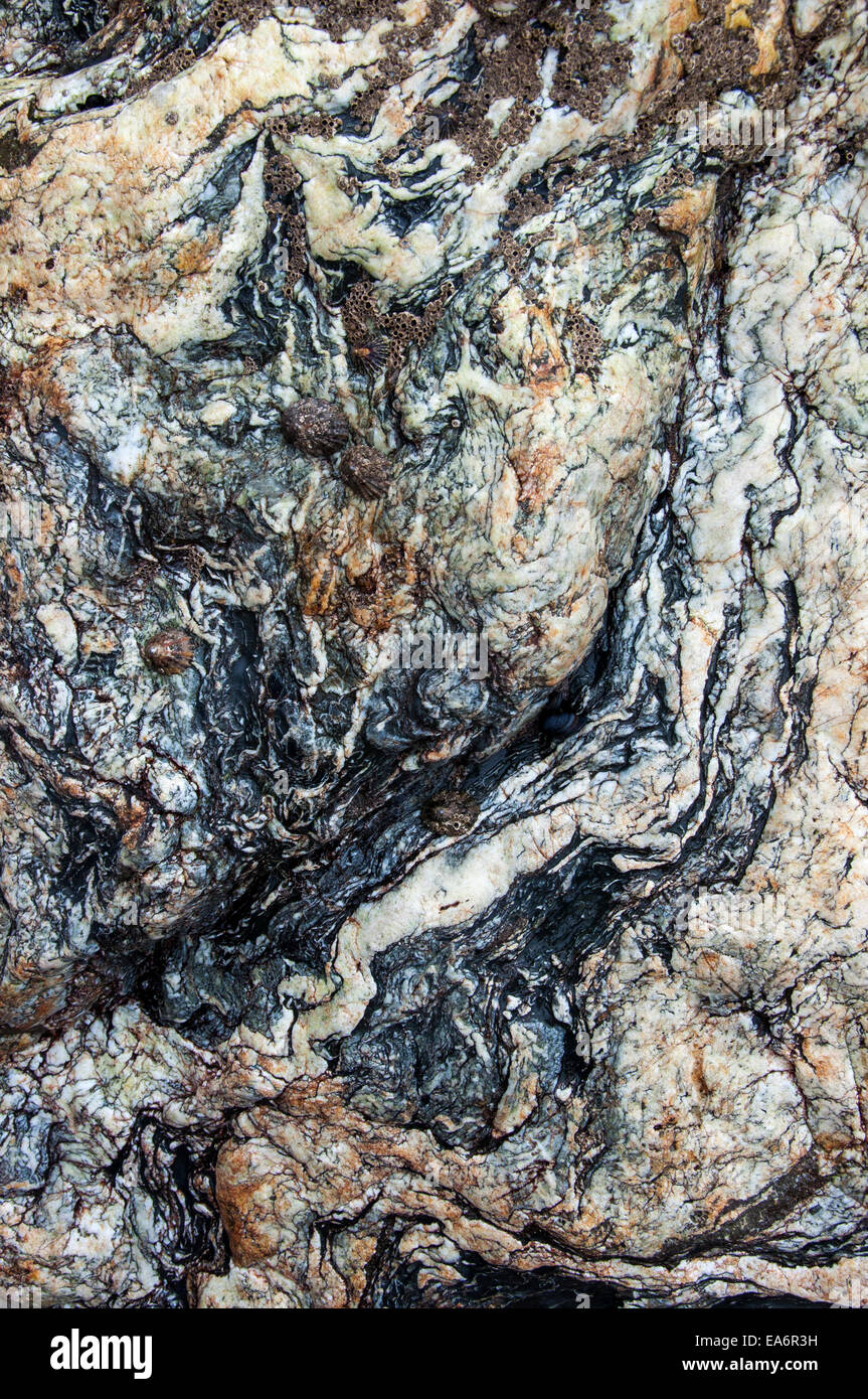Veined rock hi-res stock photography and images - Alamy