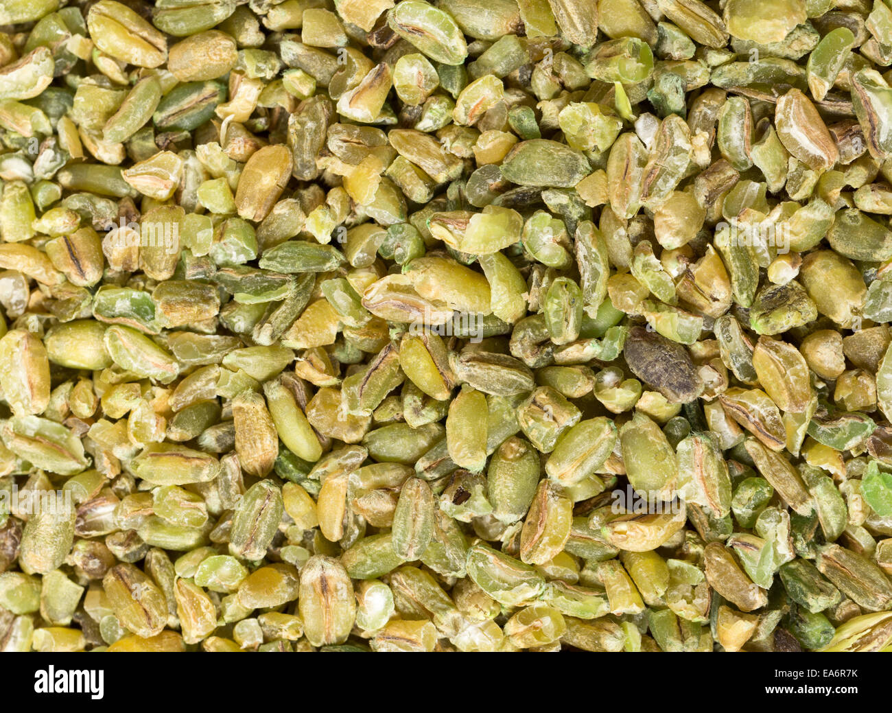 Grains of uncooked freekeh, an old Middle Eastern cereal made by fire ...