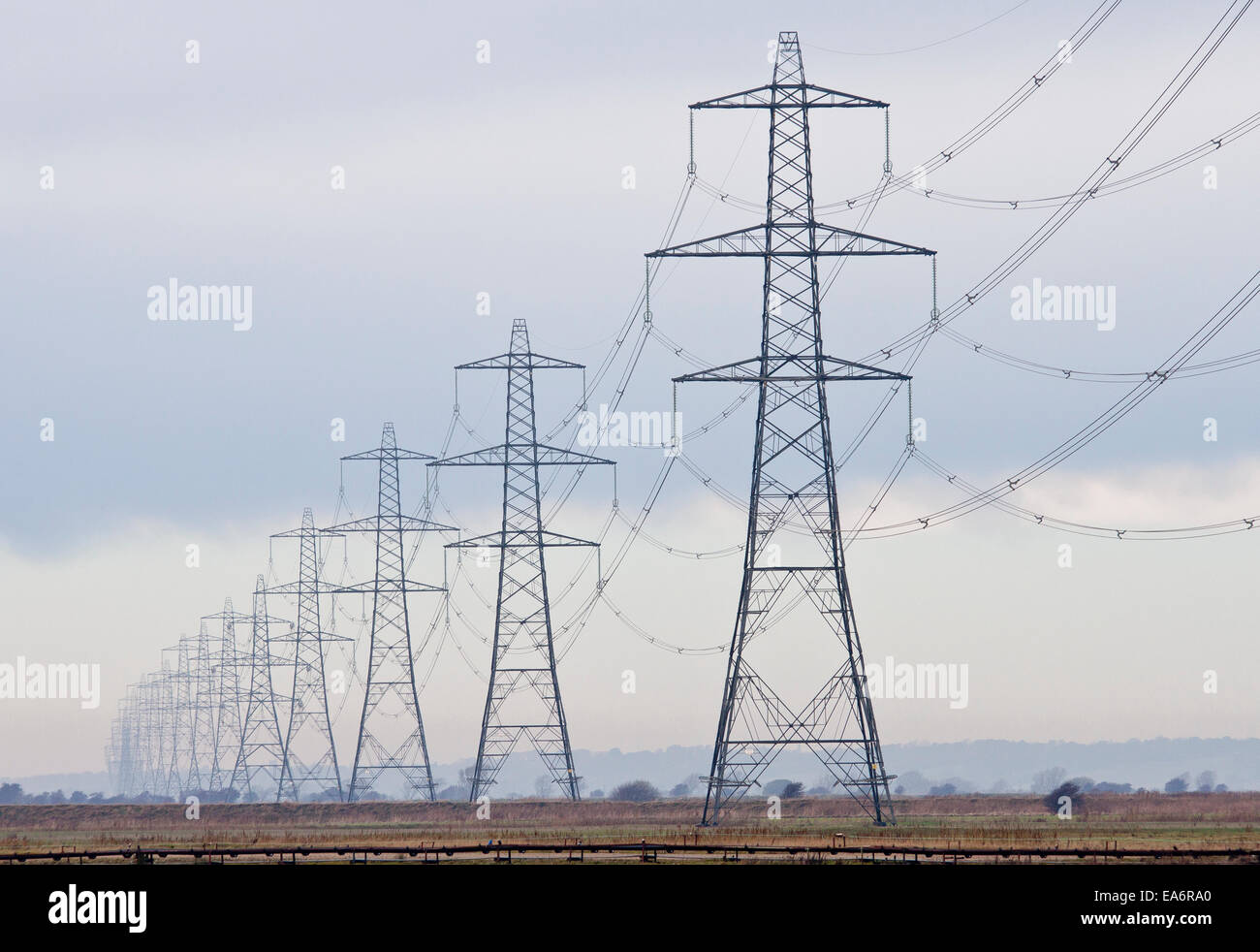 A long straight line of Electricity pylons receding into the distance ...