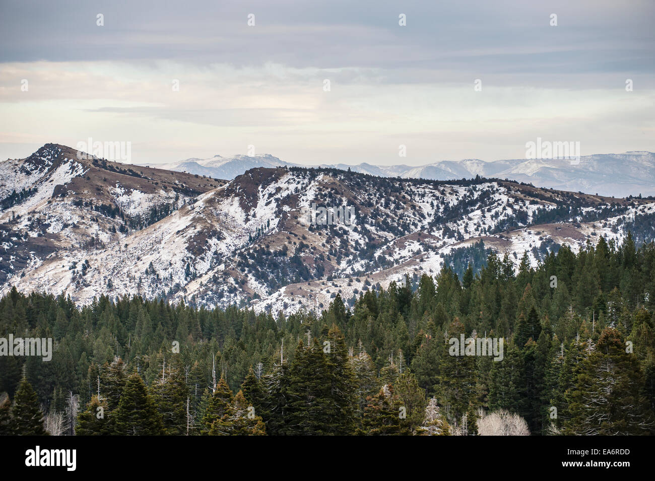 Cedar Pass after a small snow storm, Warner Mountains Range with Nevada ...